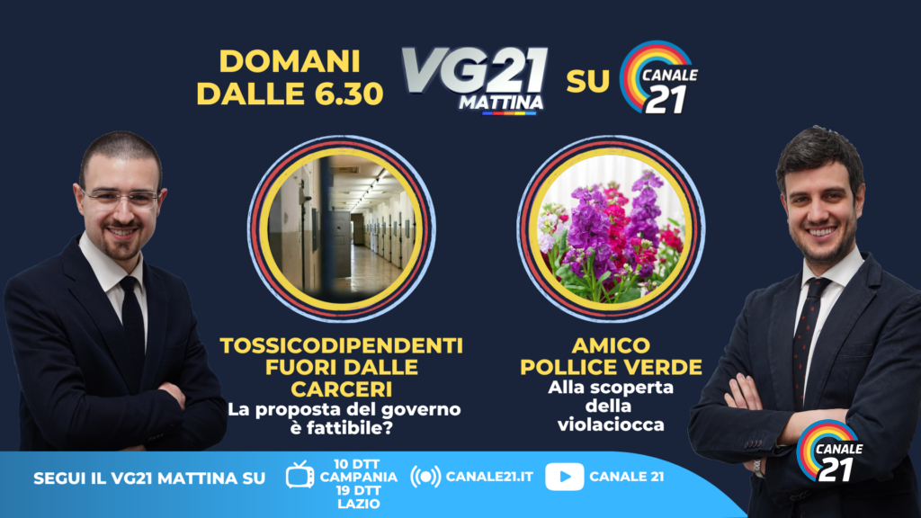 Vg21 Mattina | Canale 21
