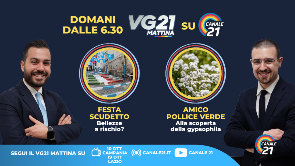 Vg21 Mattina | Canale 21